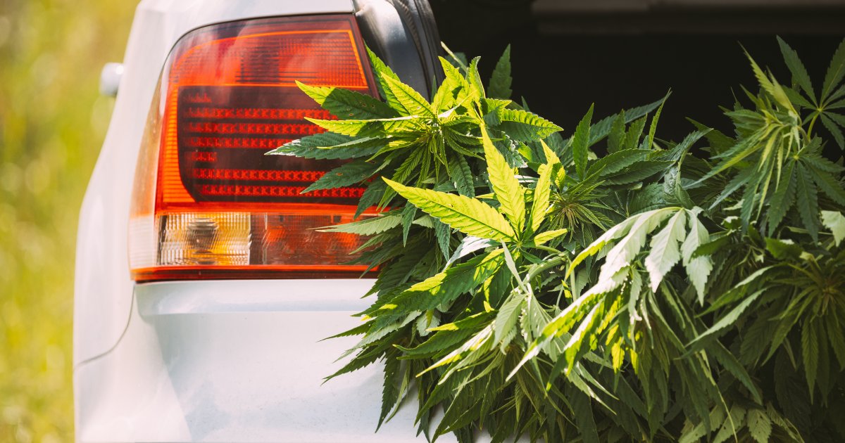 Cannabis-Legalisierung und Autofahren | Car Tomorrow